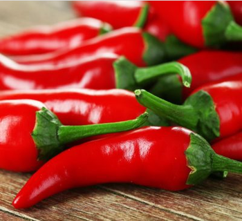 How to Dry Chillies in 4 Easy Ways – Seeds of Plenty