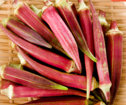 The Beginner's Guide to Growing Okra – Seeds of Plenty