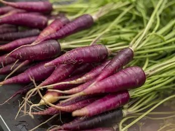 Buy Rare Vegetables Seeds Online Australia - Heirloom Seed For Sale ...
