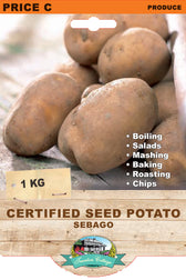 Potato - Sebago (1kg Certified Seed Potato) – Seeds of Plenty