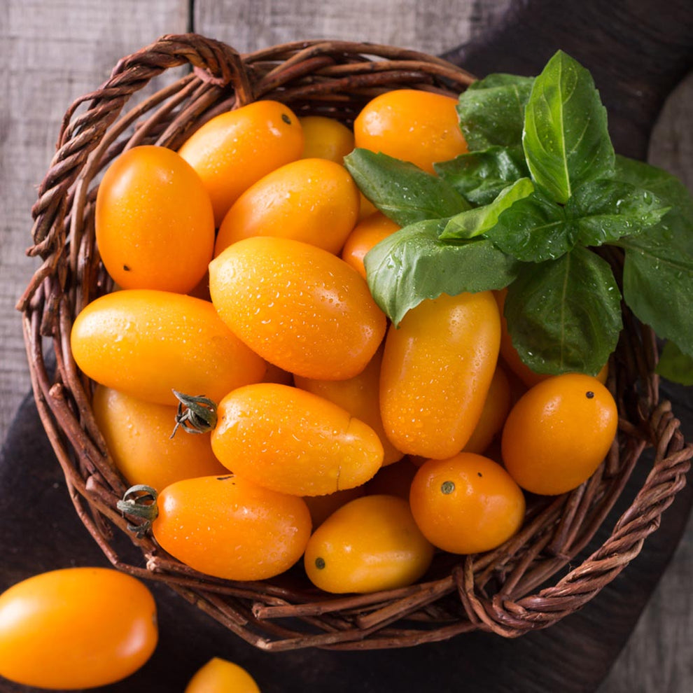 MICRO TOMATO - Golden Hour | Buy Online at Seeds Of Plenty – Seeds of ...