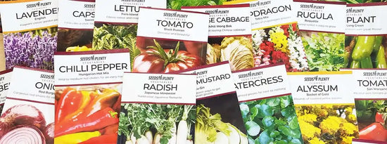 Order Seeds Online Australia | Buy Seeds Online Australia – Seeds of Plenty